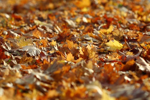 How to Prevent These Common Halloween Injuries